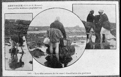 Les petits metiers populaires : Les glaneuses de la mer! cueillette du ...